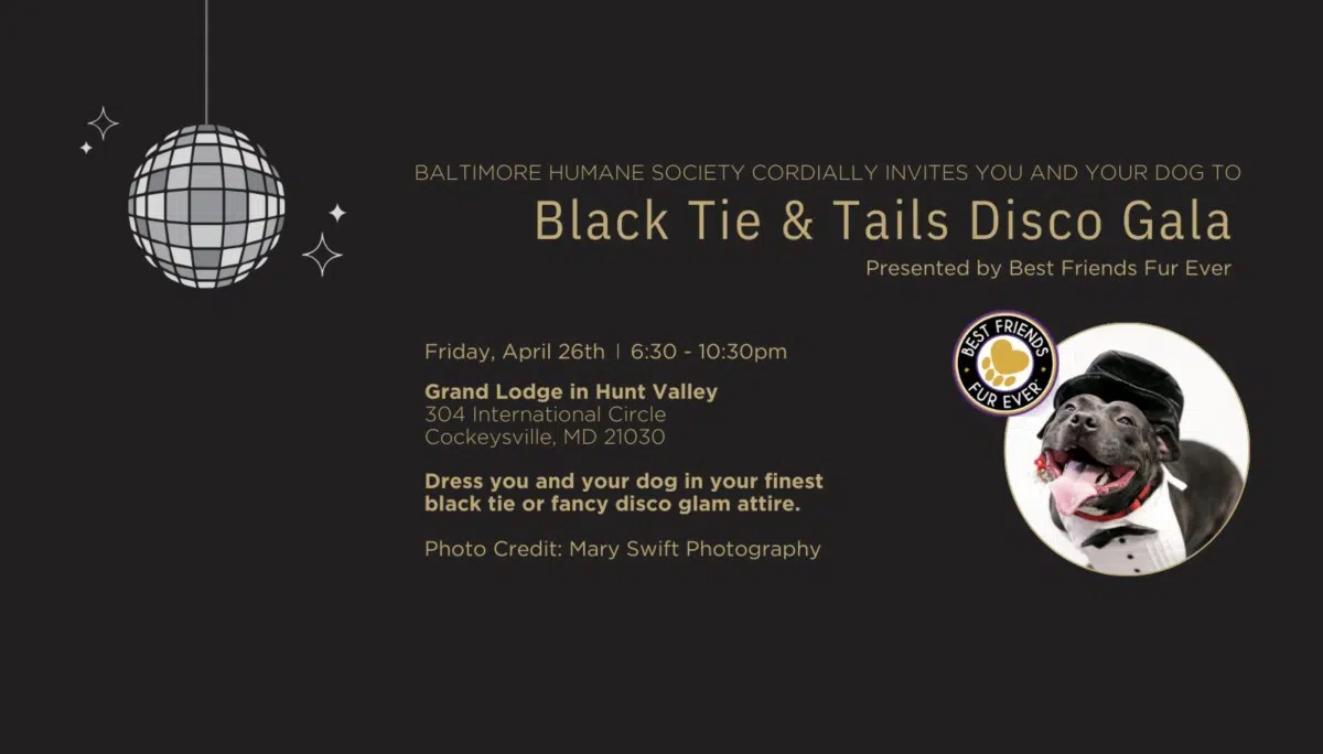 Andrew Levine of Baltimore Humane Society invites Nestor to Black Tie ...